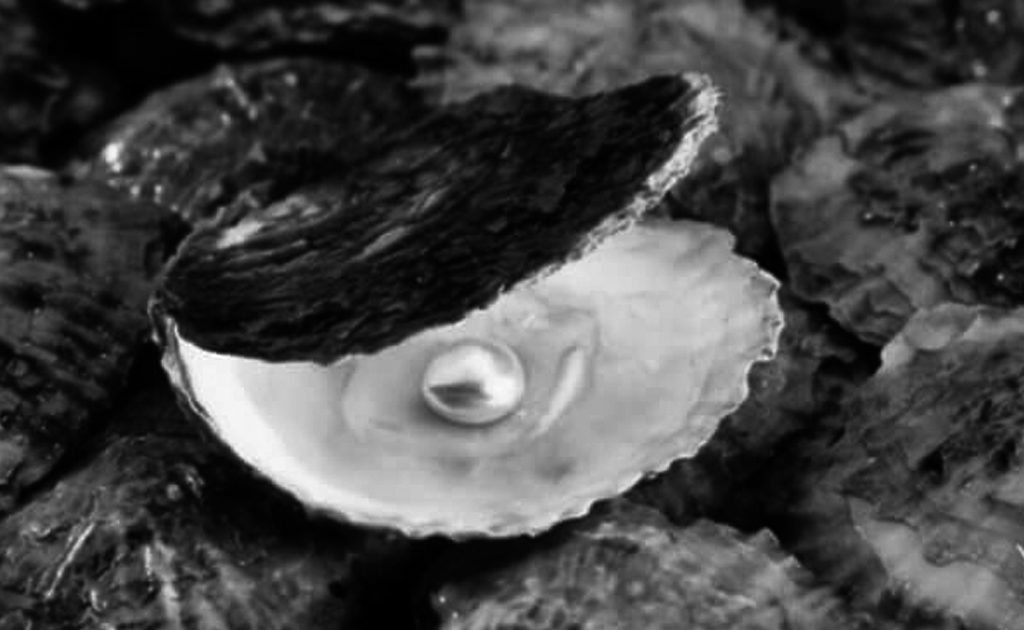 La luz es como el agua – Gabriel García Márquez – Contarte Cultura